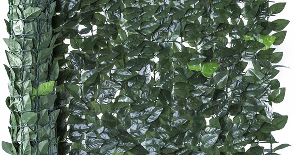 ΦΥΛΛΩΣΙΑ FLORIDA ΣΕ ΡΟΛΟ 150 X 300 MZ183001C NewPlan